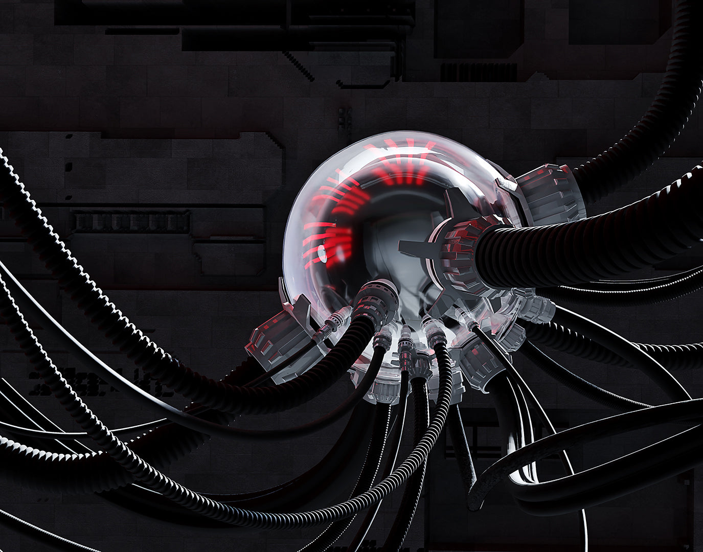 Orbital – neuro.studio