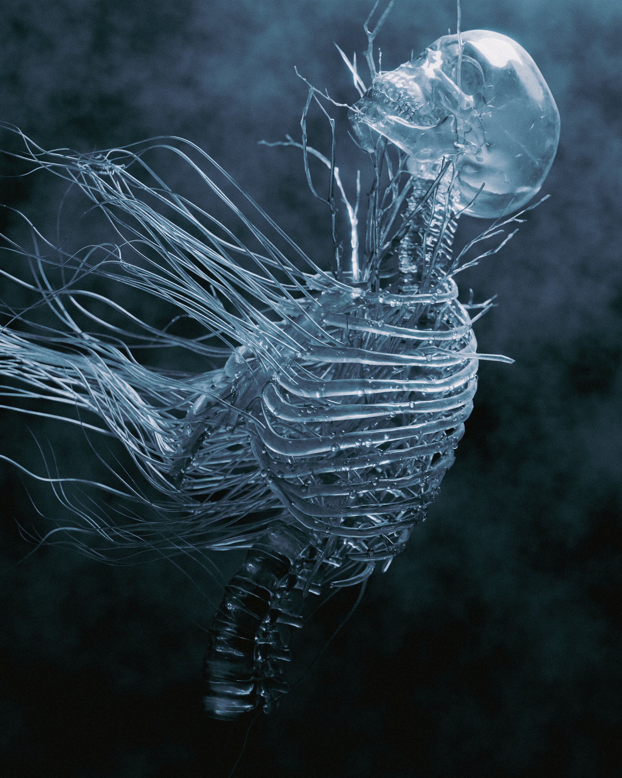 Cortex – neuro.studio