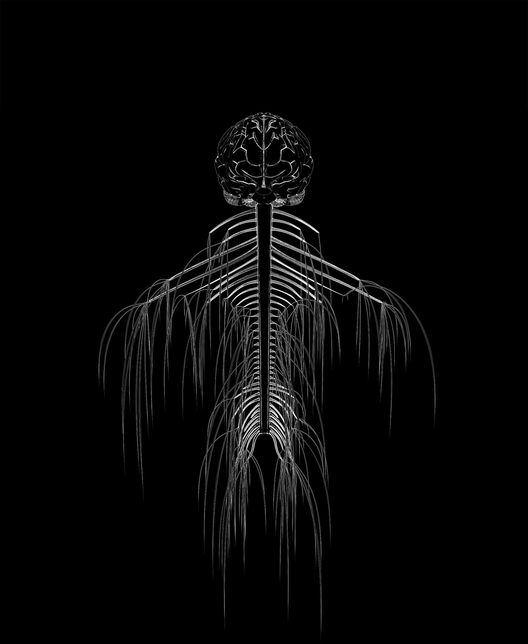 Partners – neuro.studio