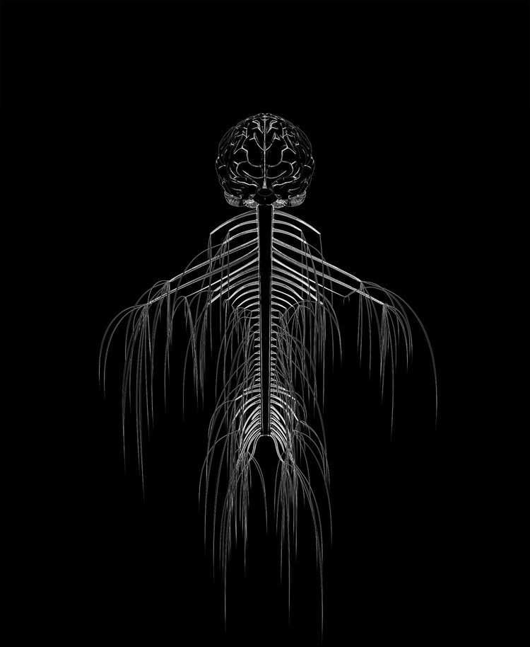 Partners – neuro.studio