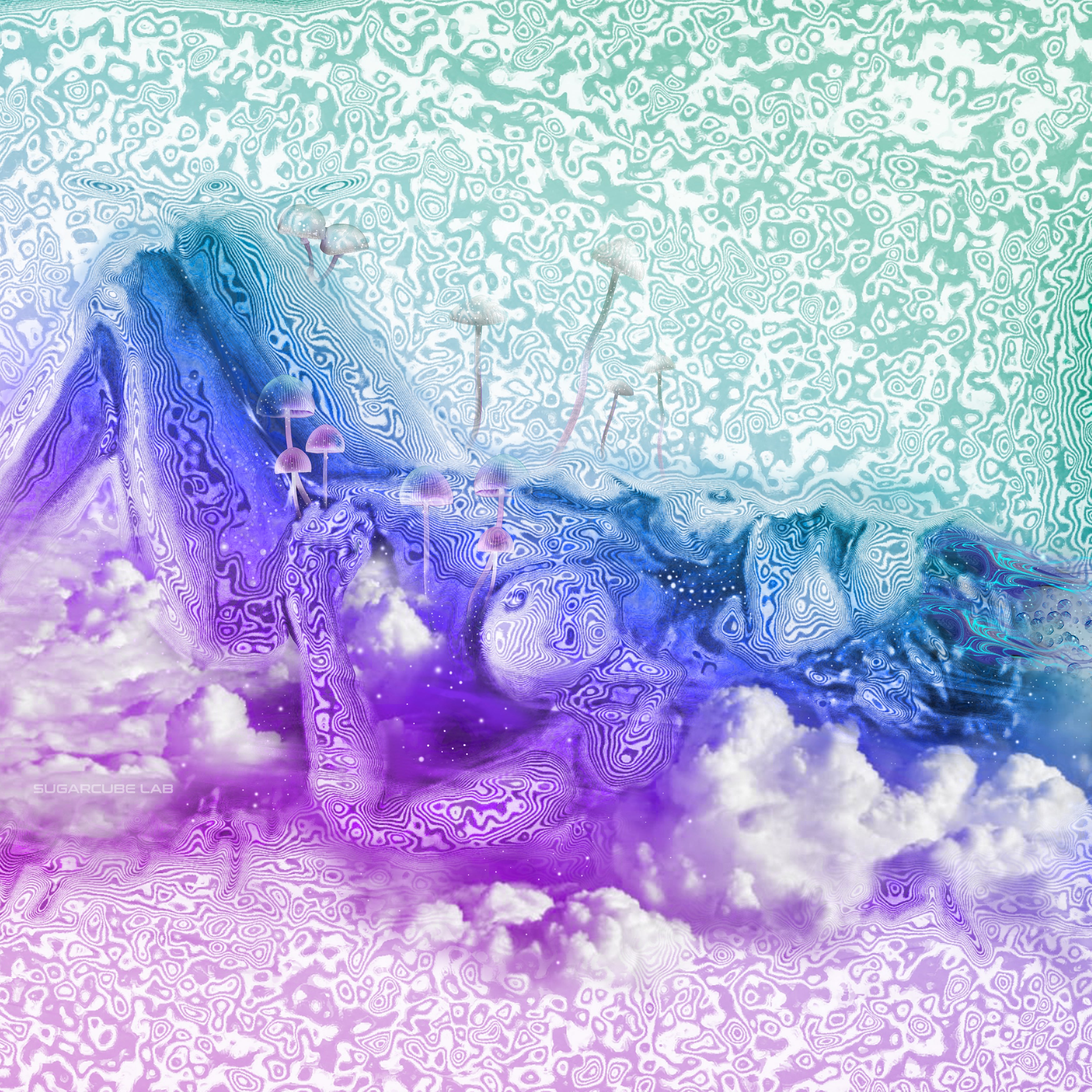 Sugarcube Lab – neuro.studio