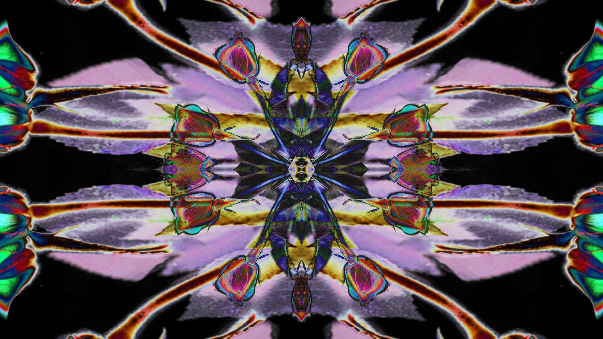 VJ Kobra – neuro.studio